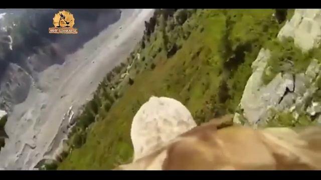 Шаманскими тропами Кавказа место силы Мир Шамана