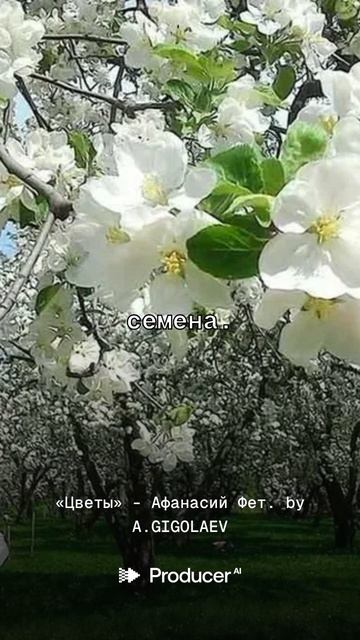 «Цветы» - Афанасий Фет.