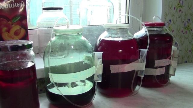 Муромцево 25 октября 2025г Вино в домашних условиях