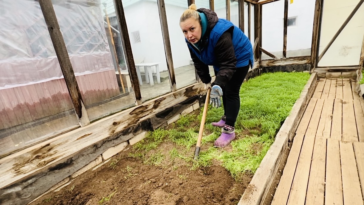 18 октября. ХОТЯТ ИСКЛЮЧИТЬ ИЗ ШКОЛЫ 😳. Перекапываю ФАЦЕЛИЮ в теплице.