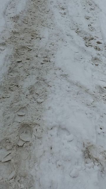 №208. Двор Сибирская 73. 10 марта 2025 г., 9:57:51. VID_20250310_095641906