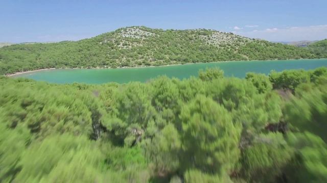 Gopala Govinda Rama Madana Mohana