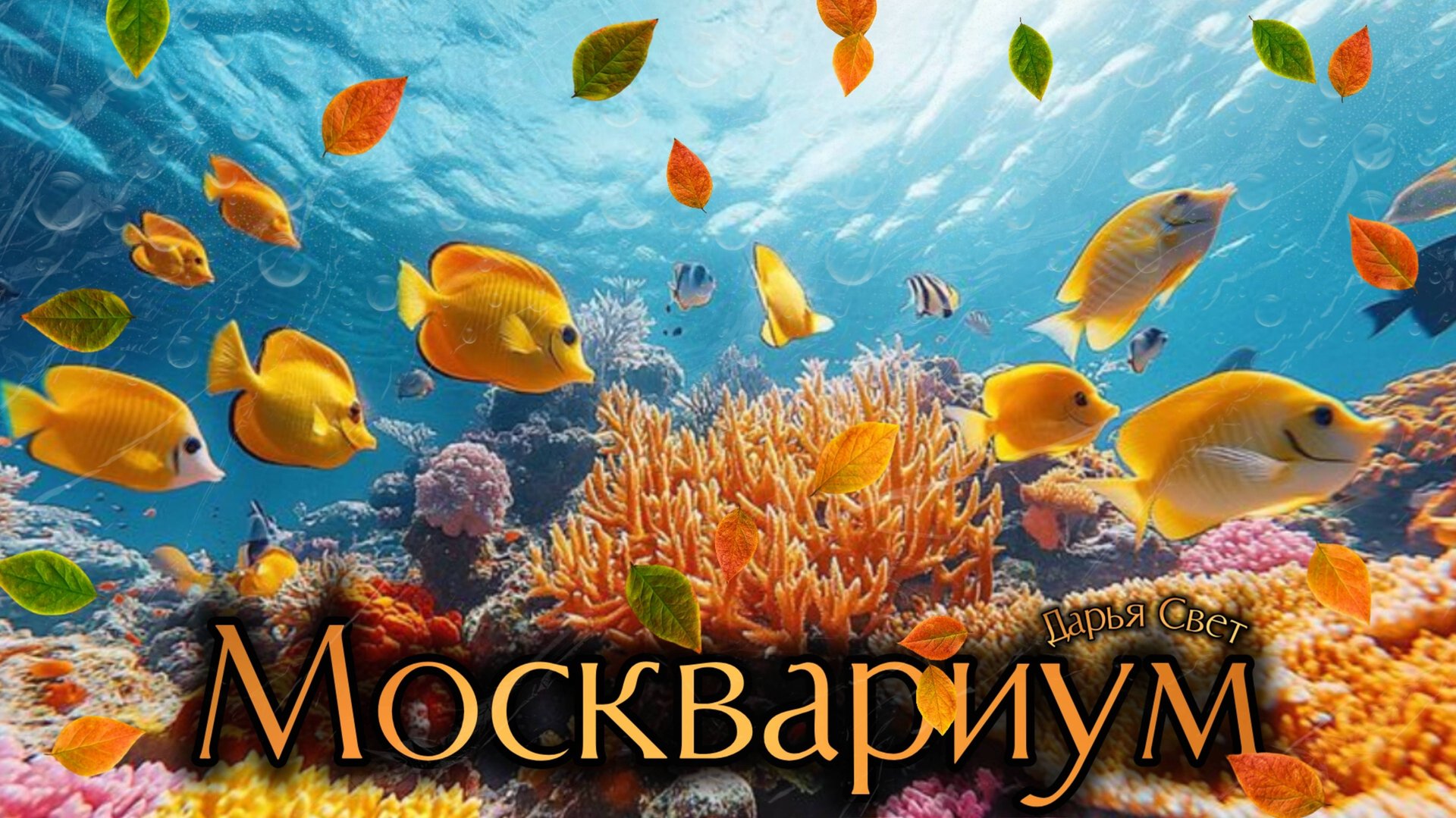 Хирург-зебра. Носорог оранжевоиглый. Ангел-полумесяц. Рыбы. Океанариум. Москвариум. Октябрь 2025