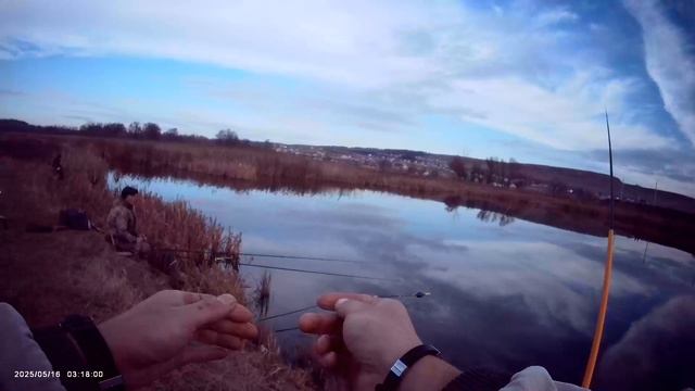 Как же в выходной день без рыбалки? Даешь рыбалку! Сегодня прогулялся на Старицу на пару часиков.