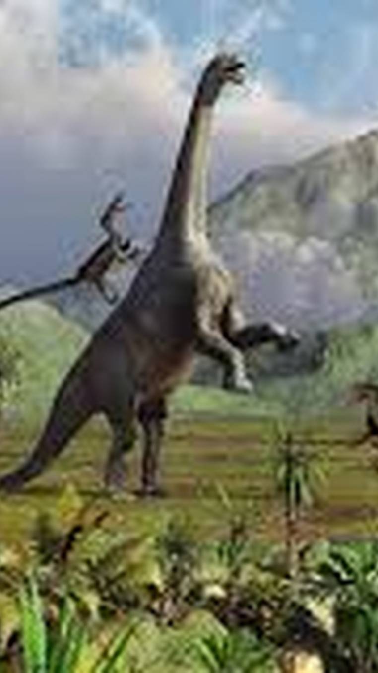 Динозавр Мусзавр. Что известно о нём?