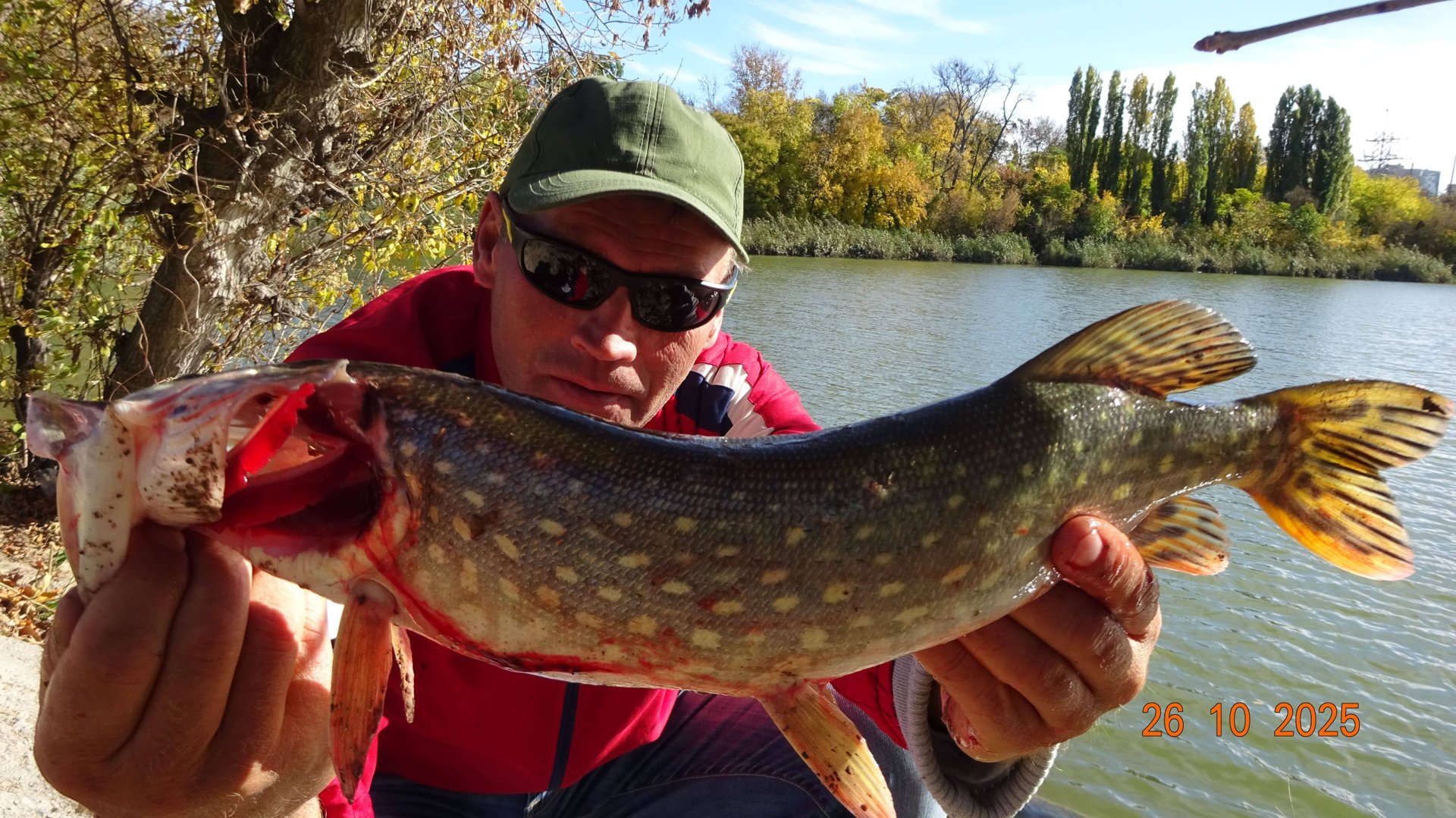 ПРОСТА НА РЫБАЛКЕ ПРОСТО НА ЖИВЦА.