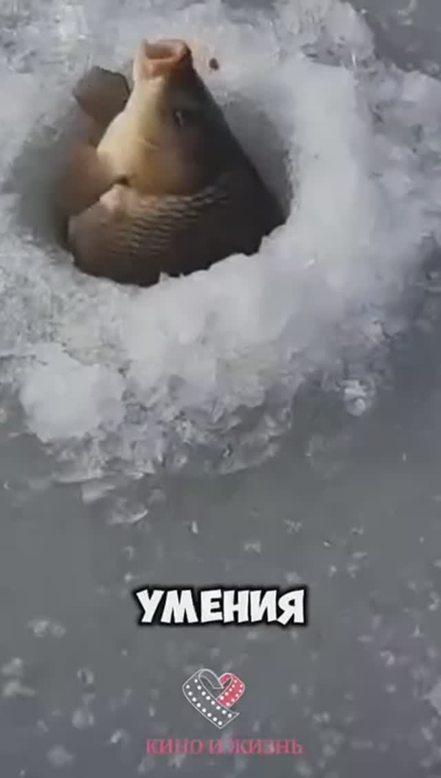 Прелесть зимней рыбалки