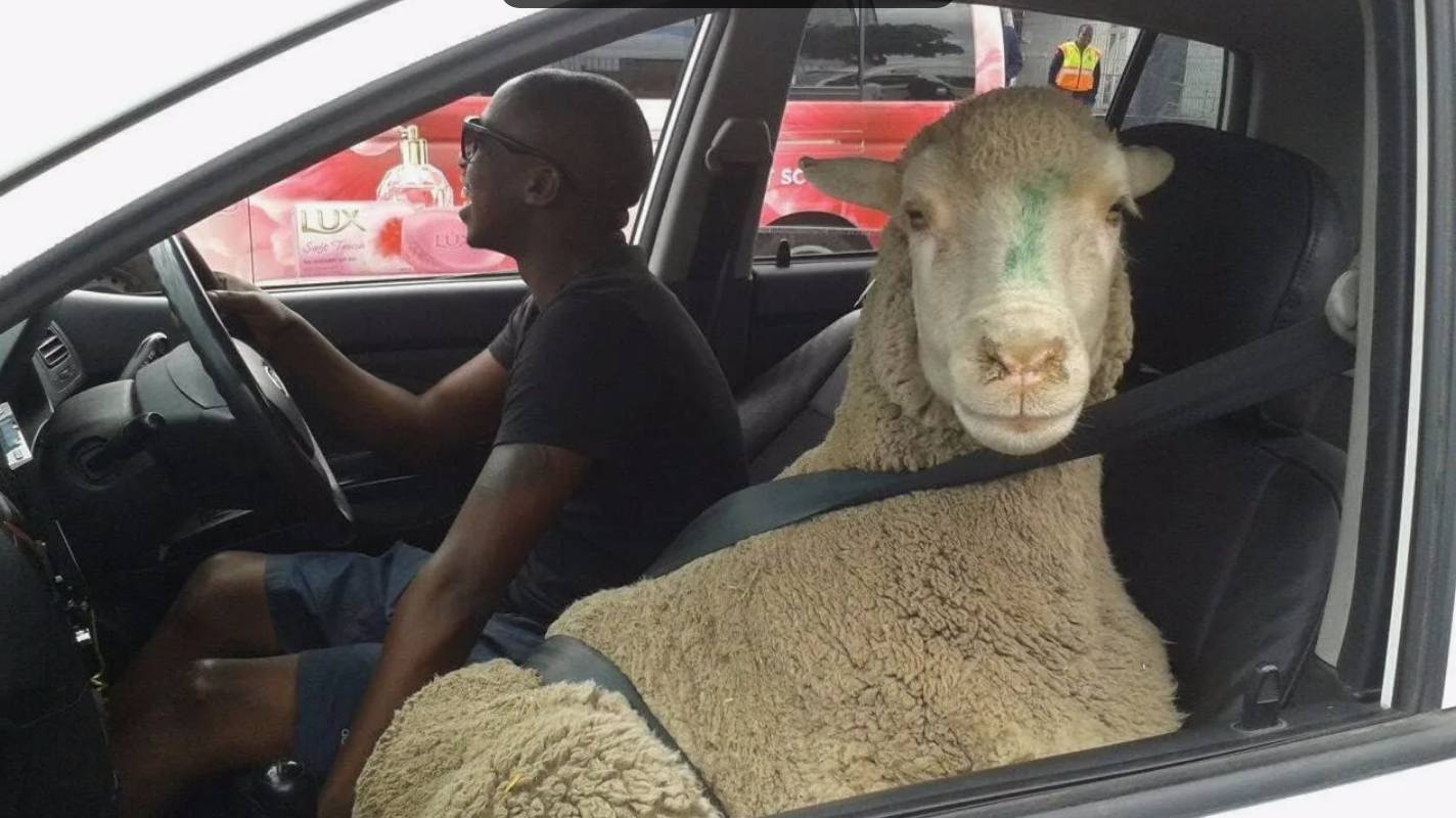 Хорошая поездка начинается с хорошего настроения!  47 горячих рецептов