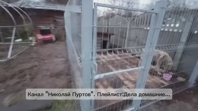 Вольер для собаки