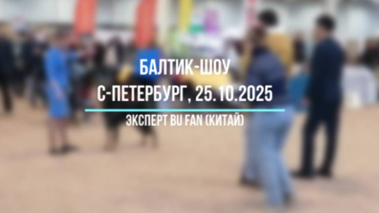 1 Босероны, Кобели юниоры