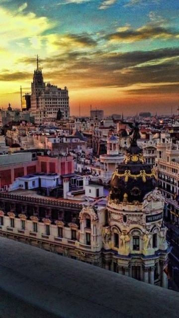 «Я не знаю моих предков» -  София Парнок.