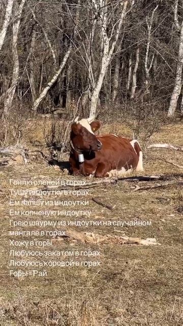 Баговский вайб