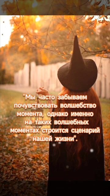 ВОЛШЕБСТВО МОМЕНТА