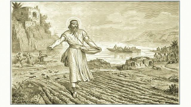 проповедь на притчу о сеятеле (нед 20 по Пятидес)