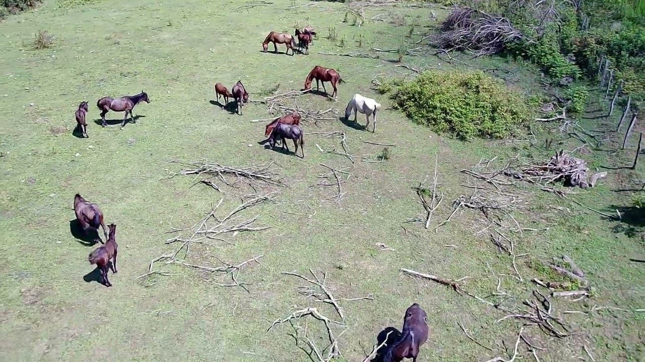 Село Дзыгута в Абхазии