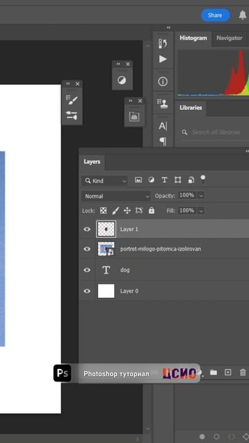 Туториал по Photoshop "как использовать clipping mask" (ЦСИО)