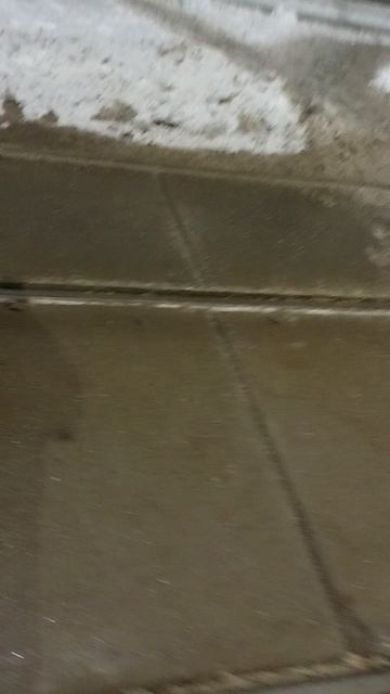 №216. ул. Белинского. 10 марта 2025 г., 21:34:03. VID_20250310_213258947