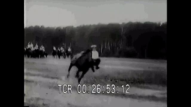 Казаки в городе Парижу