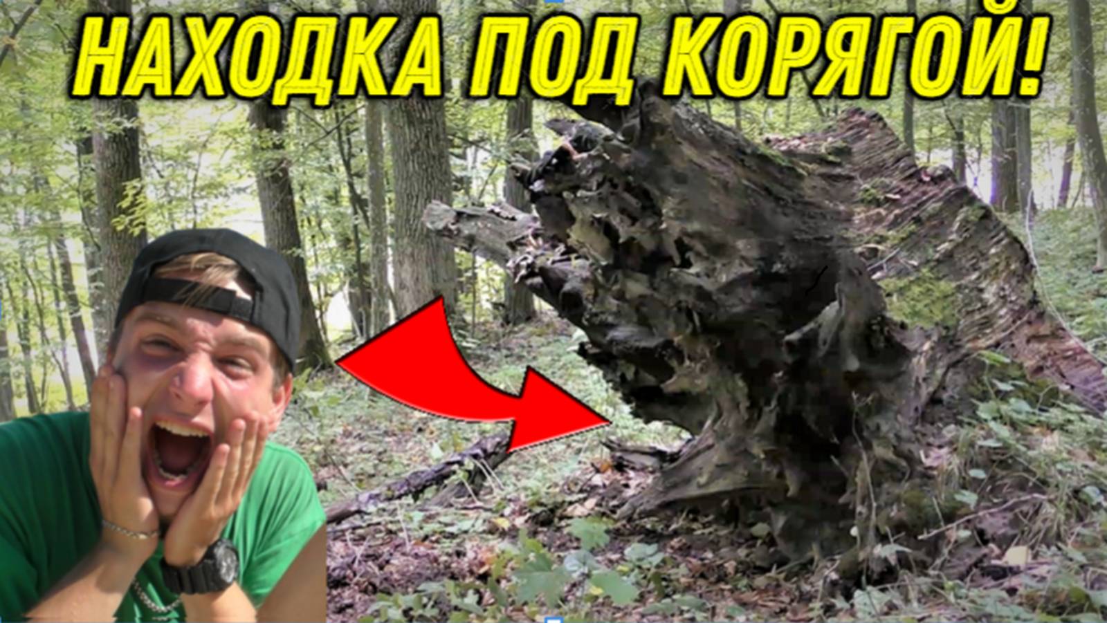 Сигнал под СТАРОЙ КОРЯГОЙ Оказался очень ДРЕВНЕЙ НАХОДКОЙ, Везет так Везет на КОПЕ в ЛЕСУ!!!