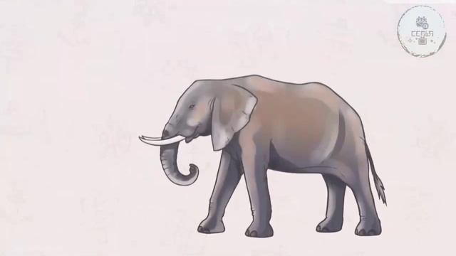 Уроки ГЕОГРАФИИ Что мы знаем об Африке 7 класс