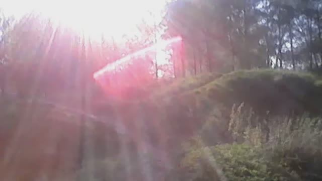 Красивая природа в Красносельском районе Санкт-Петербурга.