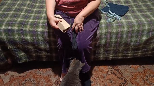 Самодельное приспособление для надевания носков.