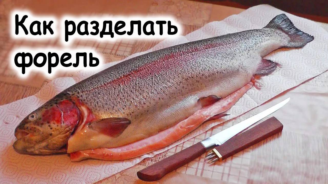 Как разделать форель