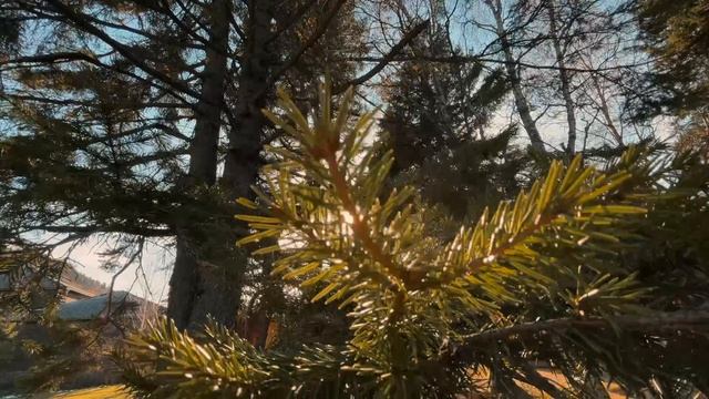 Преображение, проект по формированию семейных ценностей_октябрь 2025