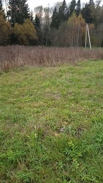 15 и 34 граница 2