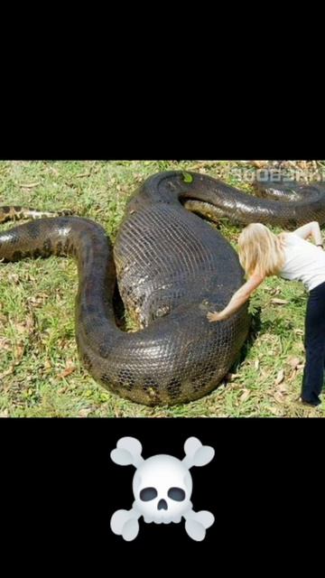 I'm have the best pet