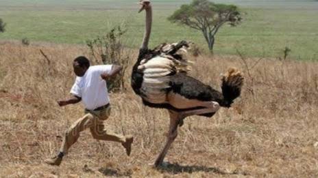 ЛУЧШИЕ ПРИКОЛЫ И МЕМЫ (ПОПРОБУЙ НЕ ЗАСМЕЯТЬСЯ ЧЕЛЛЕНДЖ) - САМАЯ СМЕШНАЯ ПОДБОРКА #133