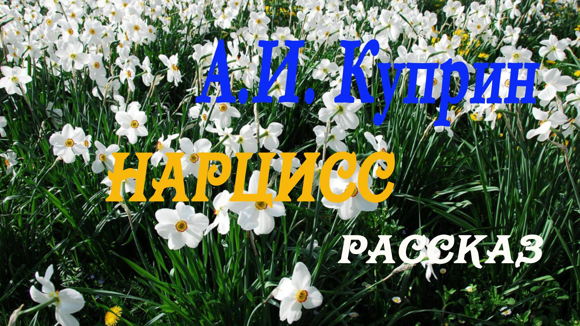 Александр Куприн - Нарцисс. Рассказ.
