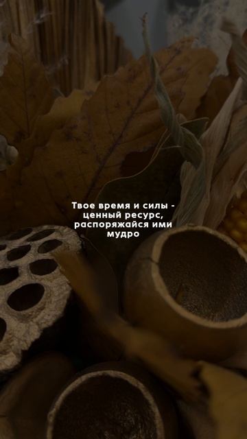 Иногда не нужно всё менять. Нужно просто перестать бежать и начать понимать, зачем