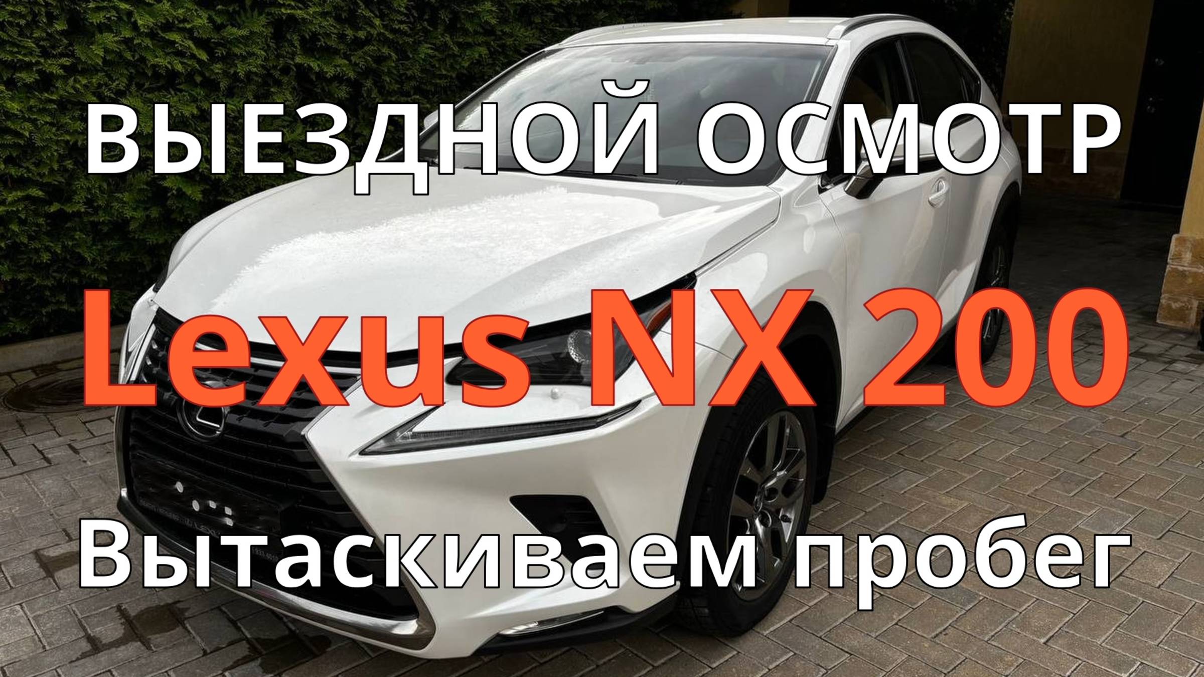 Lexus NX 200 / Проверка пробега / Хорошее состояние / Черный ящик / Царапины и подкрасы