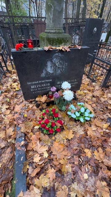 ЛЮБИМЫЙ СЫН НЕ ПРИЕХАЛ НА ПОХОРОНЫ ОТЦА … ПРЕДАТЕЛЬСТВО И СЛАБОЕ СЕРДЦЕ БУБЛИКОВА / ПЁТР ЩЕРБАКОВ