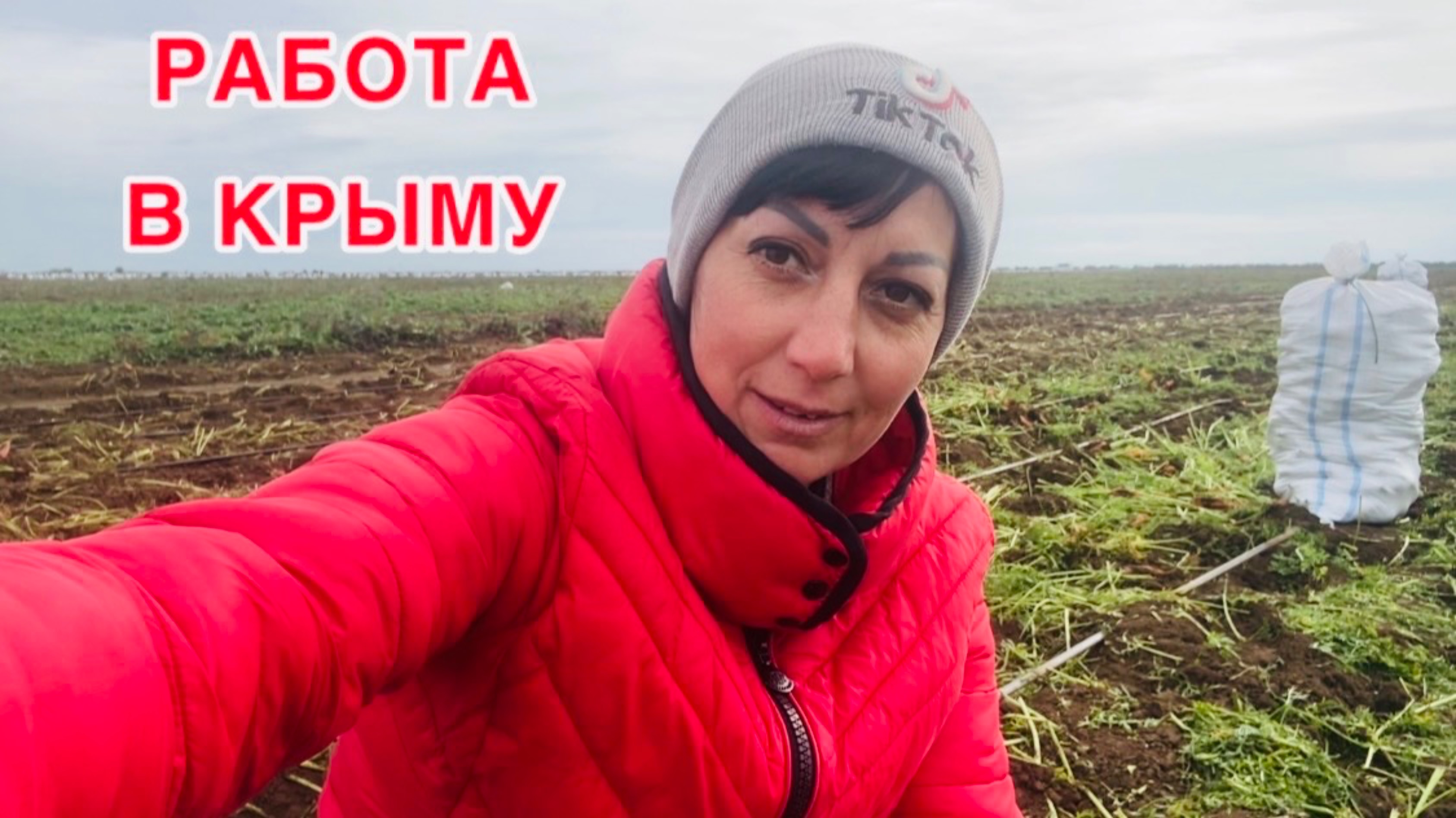 Сбор помидор, моркови, перца 🌶️