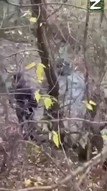 ТЦК-шники загнали мужика в болото.