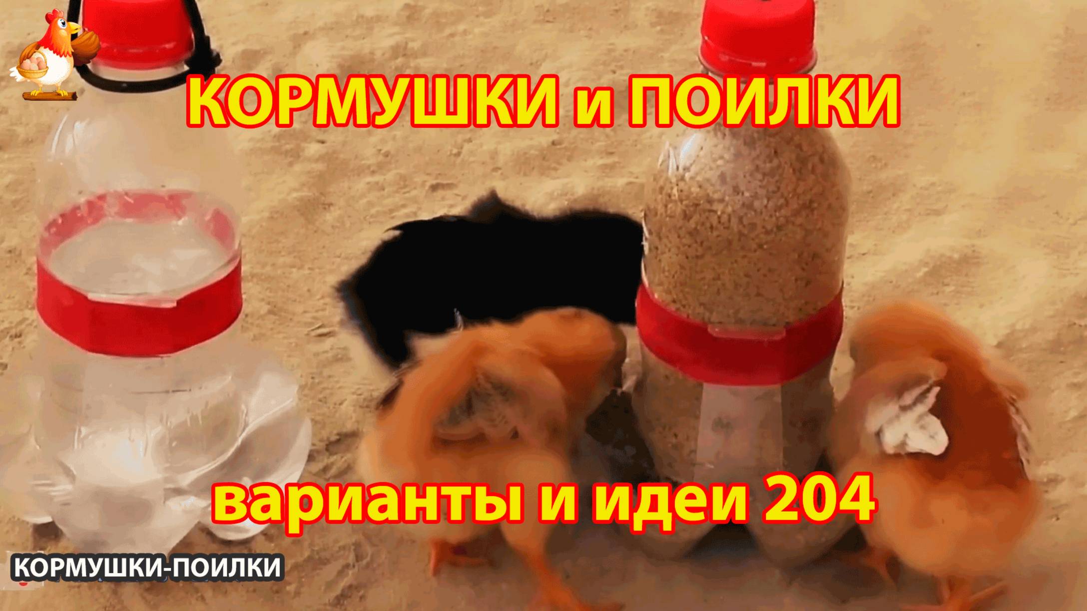 Кормушки и поилки для кур своими руками (204) 🪚✂️ Пошаговая инструкция как сделать 🐔 🐓❣️