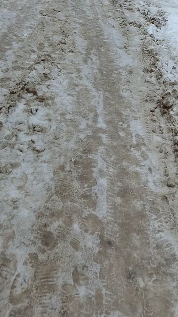 №229. Двор Сибирская 73. 13 марта 2025 г., 9:54:33. VID_20250313_095340163