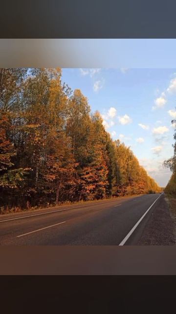 Осень в Марий Эл