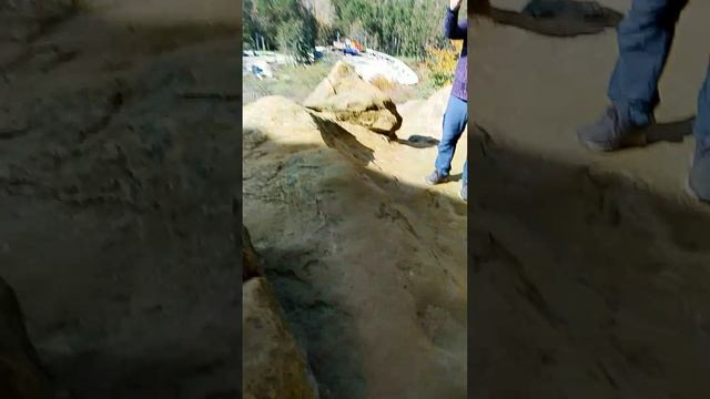 Реальная жизнь