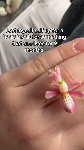 Природа удивительна