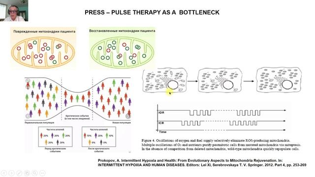 Применение Гипокситерапии в Онкологии