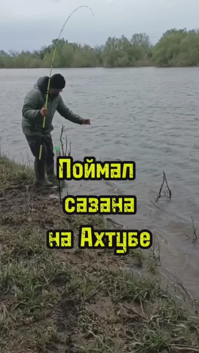 Поймал сазана на Ахтубе