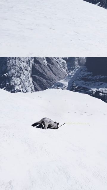 Путешественник