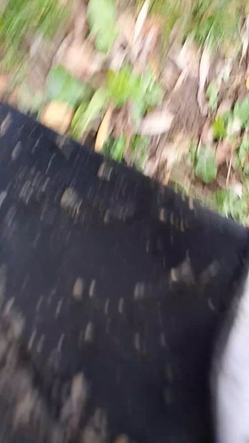 Покатушки (1 часть)