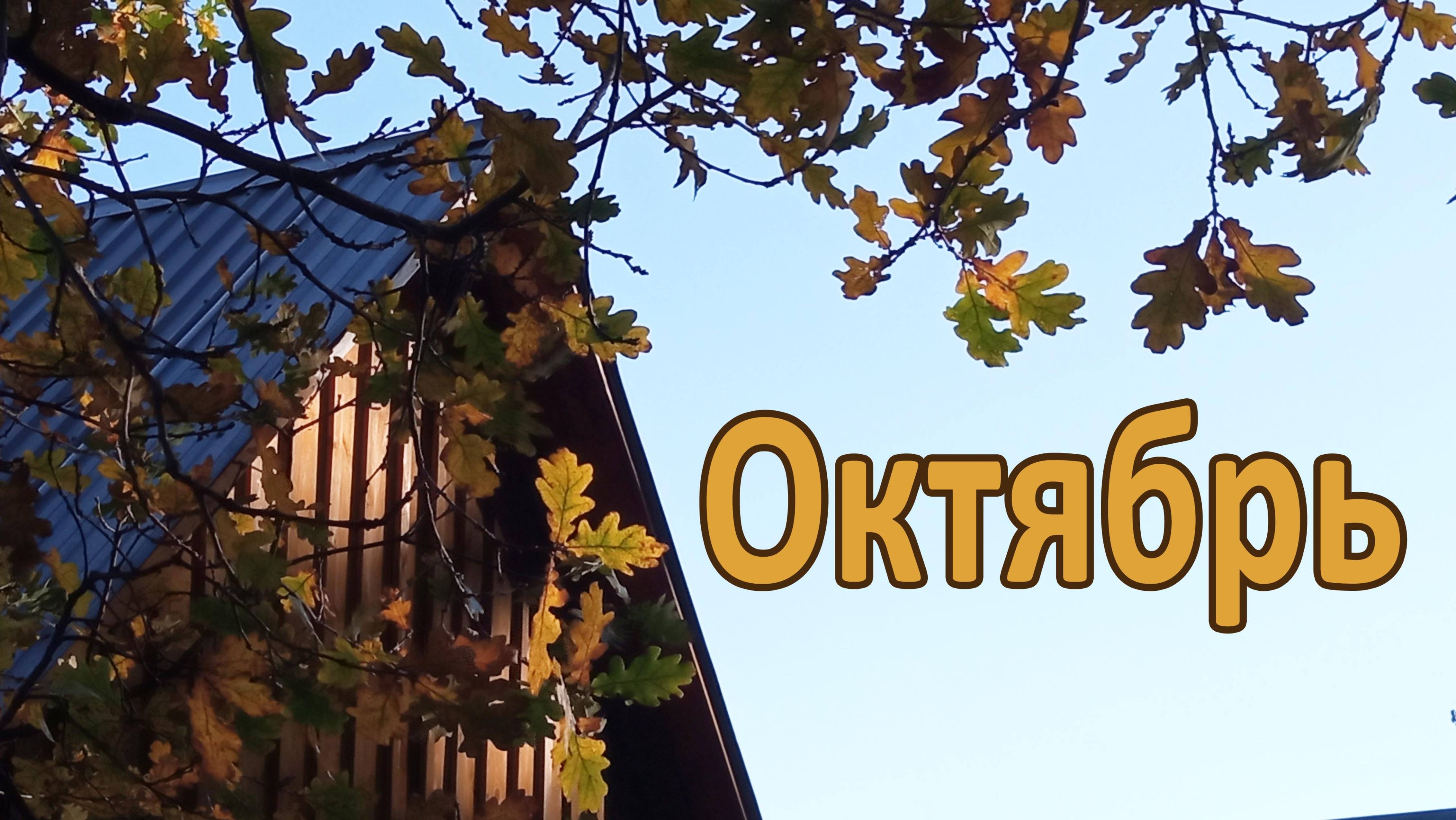 Октябрь в лесу