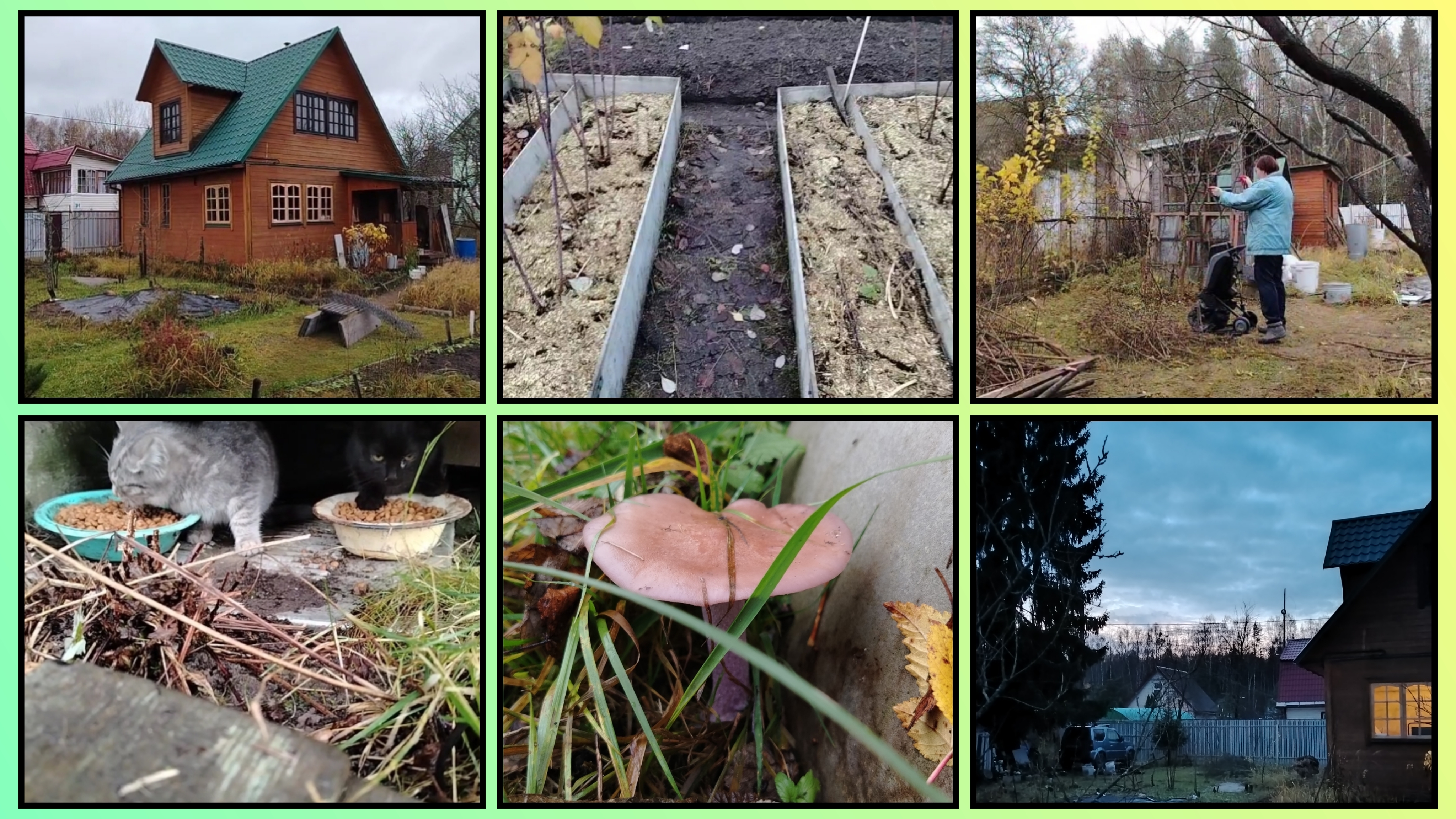 50/2025 НА ДАЧЕ РАБОТЫ МАЛО НЕ БЫВАЕТ