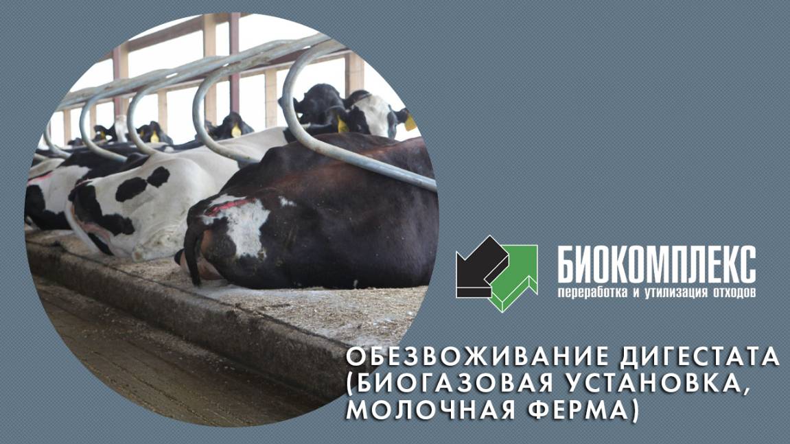 Обезвоживание дигестата (биогазовая установка, молочная ферма)