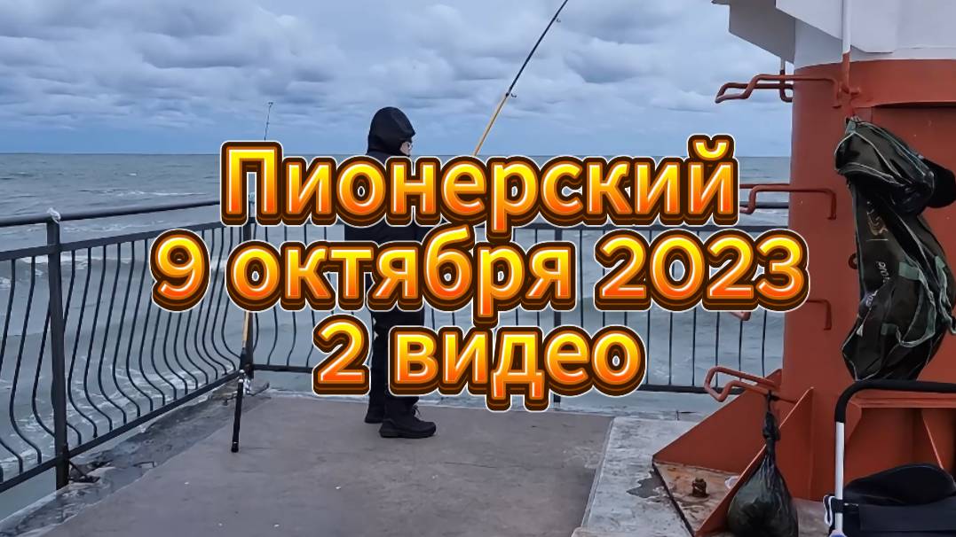 Пионерский9 октября 2023 2 видео